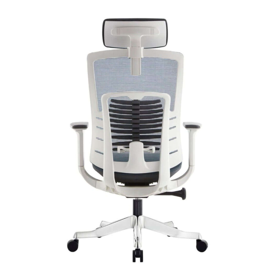 Spark Ergonomic Chair | Comfortzone Office Chairs